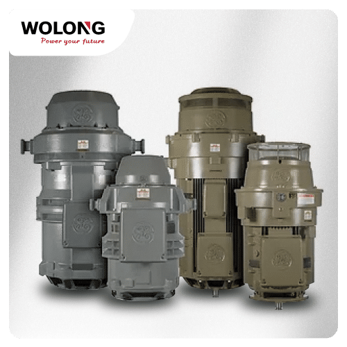 Wolong Electric Cotiza motores industriales