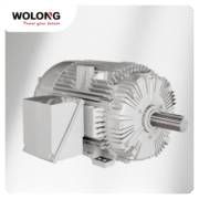 Hablemos de Wolong - GE - Wolong