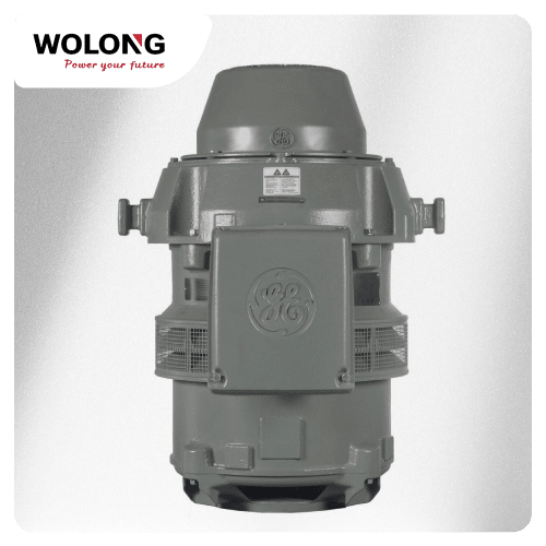 wolong - Wolong